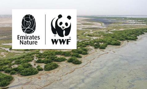 [EN] Gagnants précédents - Cleanup